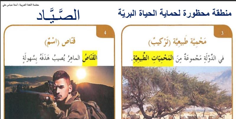 حل قصة النمر الارقط لغة عربية الصف الرابع سراج
